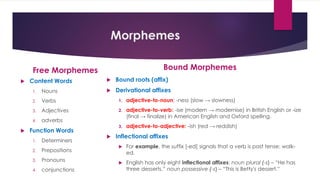 Week 3 morphology copy2 | PDF