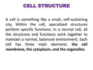 anatomy and physiology lecture presentation | PPTX