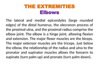 Anatomy and Physiology of the body including musculoskeletal system and others | PPTX