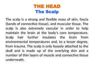 Anatomy and Physiology of the body including musculoskeletal system and ...