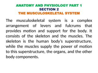 Anatomy and Physiology of the body including musculoskeletal system and ...