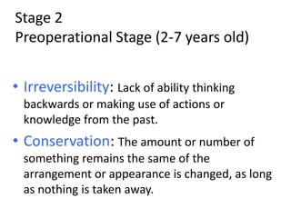 Preoperational Stage Examples