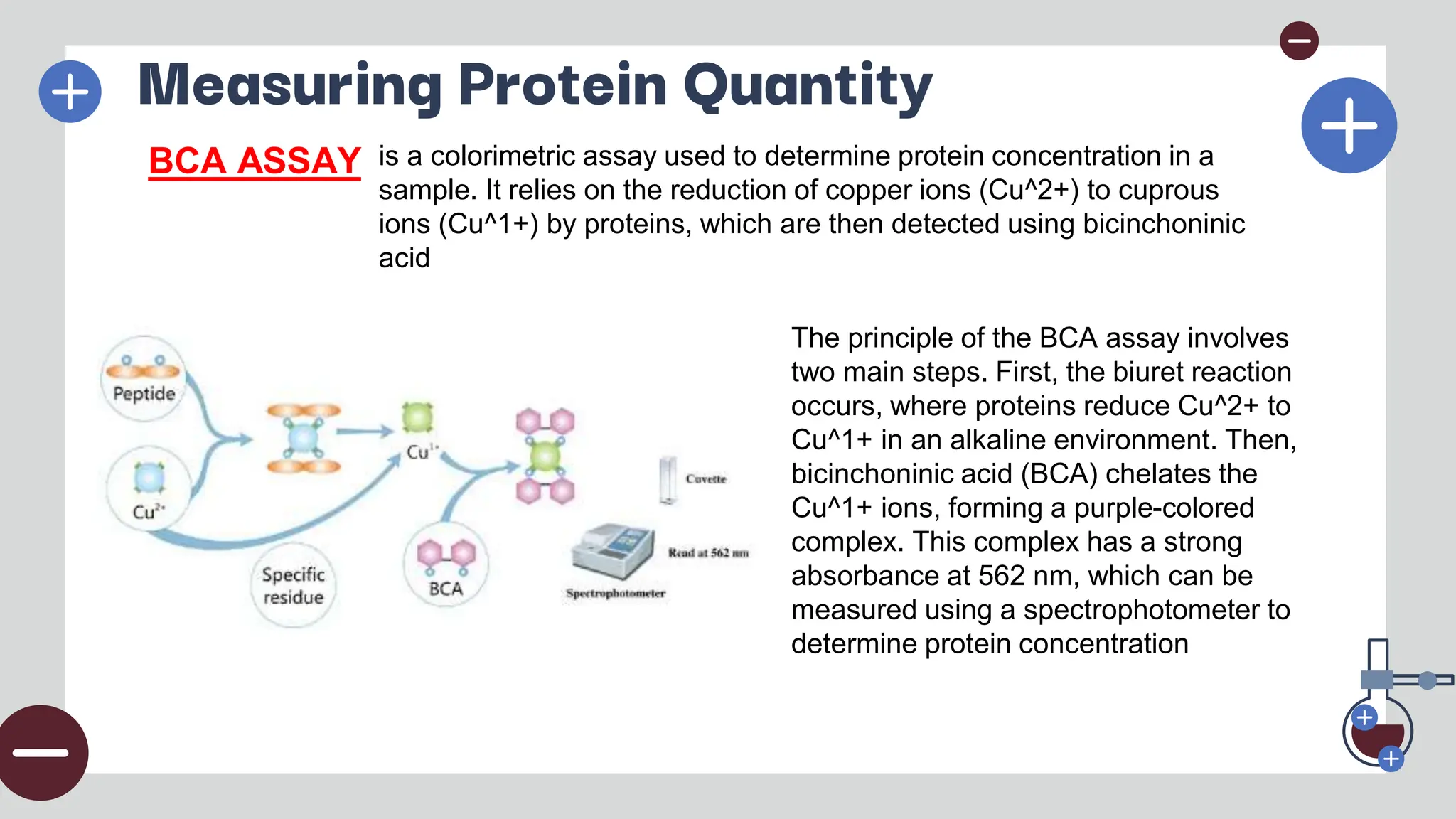 Basic Proteomics for Protein Quantitation and SDS Page | PPTX