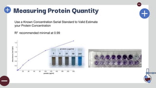 Basic Proteomics for Protein Quantitation and SDS Page | PPT