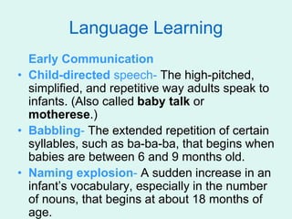 week3 the first two years body and brain.ppt