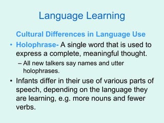 week3 the first two years body and brain.ppt