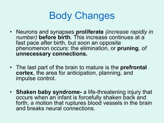 week3 the first two years body and brain.ppt