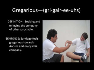 Gregarious Definition