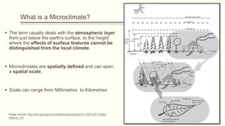 Week 4.1 microclimates and microclimatology | PPT