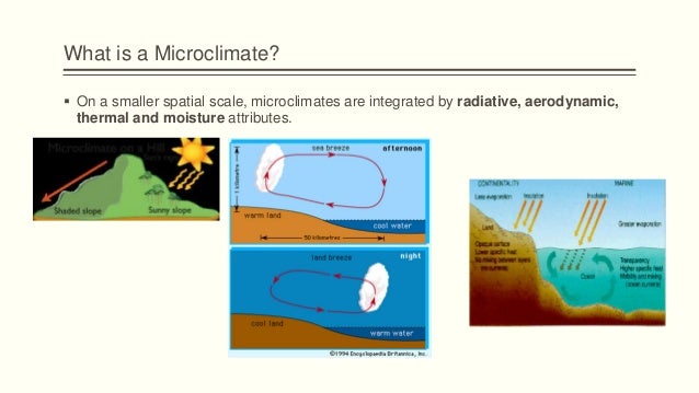 Week 4.1 microclimates and microclimatology