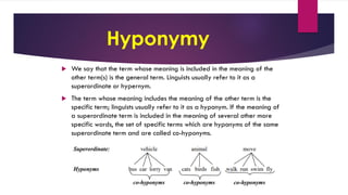 Week 4.2 semantic relationship student copy | PDF