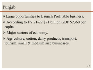 Different Businesses in Pakistan and their Dimensions | PPT