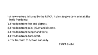 repetition ellipsis and substitution.pptx