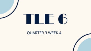 TLE 6 QUARTER 3 PARTS OF A PROJECT PLAN.pptx