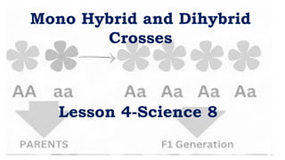 WEEK 4-MONO HYBRID AND DIHYBRID CROSS OF GREGOR MENDEL | PPTX