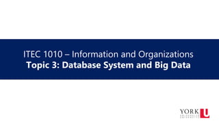 ITEC 1010 - Information and Organizations Database System and Big data ...