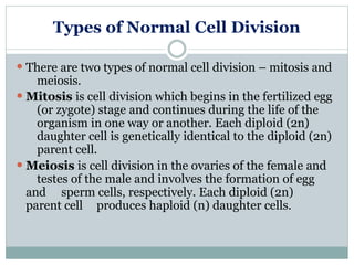 WEEK 4- MITOSIS 2n=6 ANDAPPLICATION.pptx