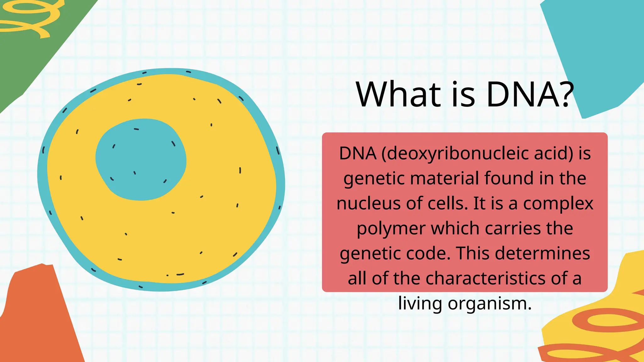 week4-module 4 protein synthesis and mutation.pptx