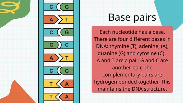 week4-module 4 protein synthesis and mutation.pptx