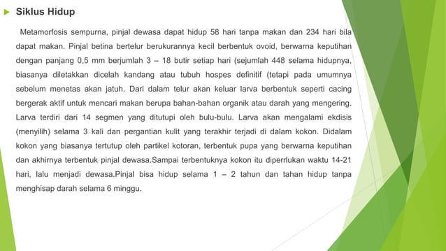 PPT PARASITOLOGI - PINJAL DAN KUTU | PPTX