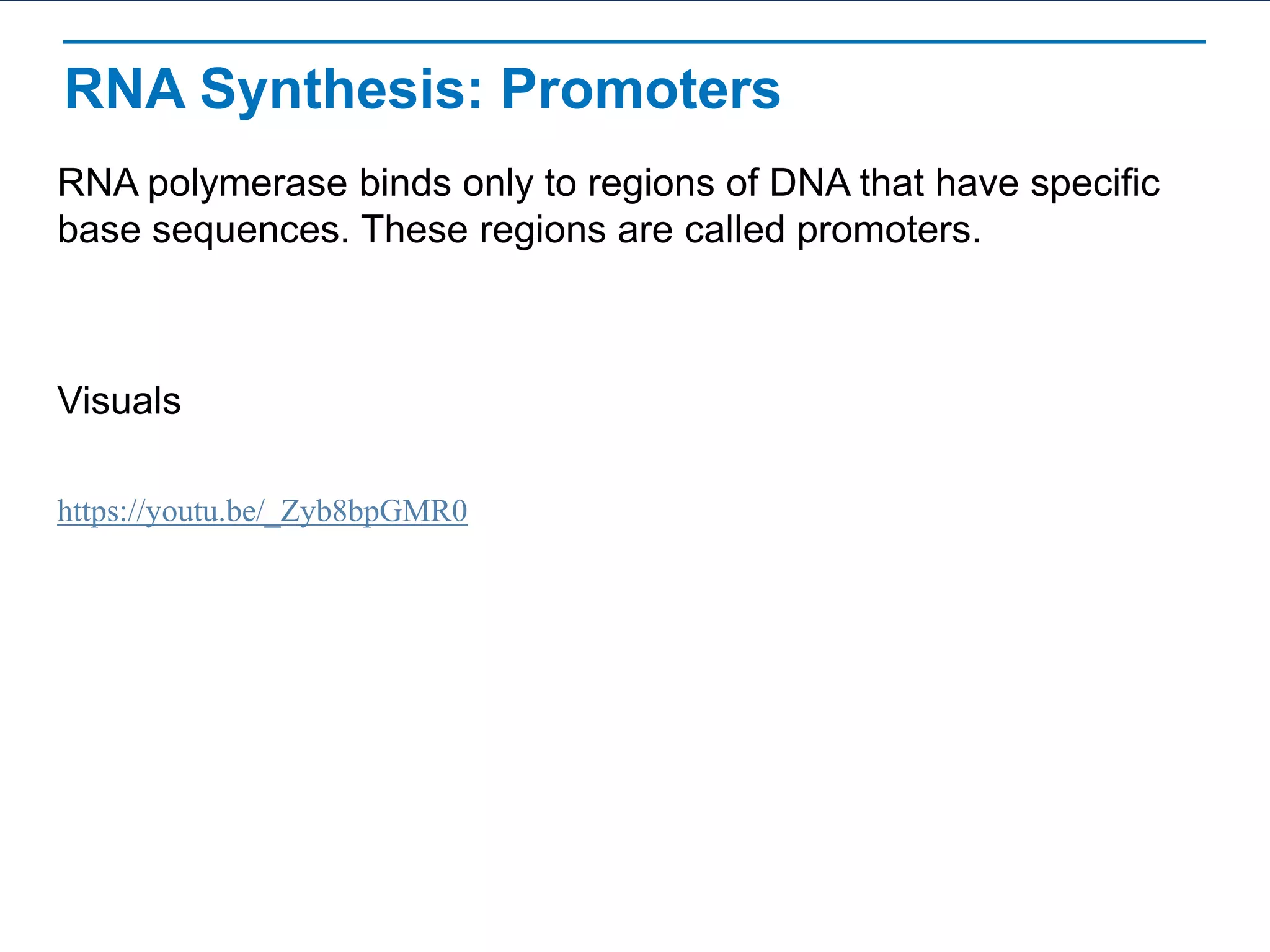 Week4-RNA and Protein Synthesis - Final Updated.pptx