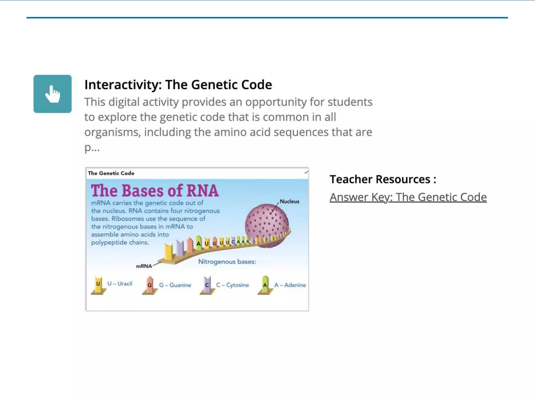 Week4-RNA and Protein Synthesis - Final Updated.pptx