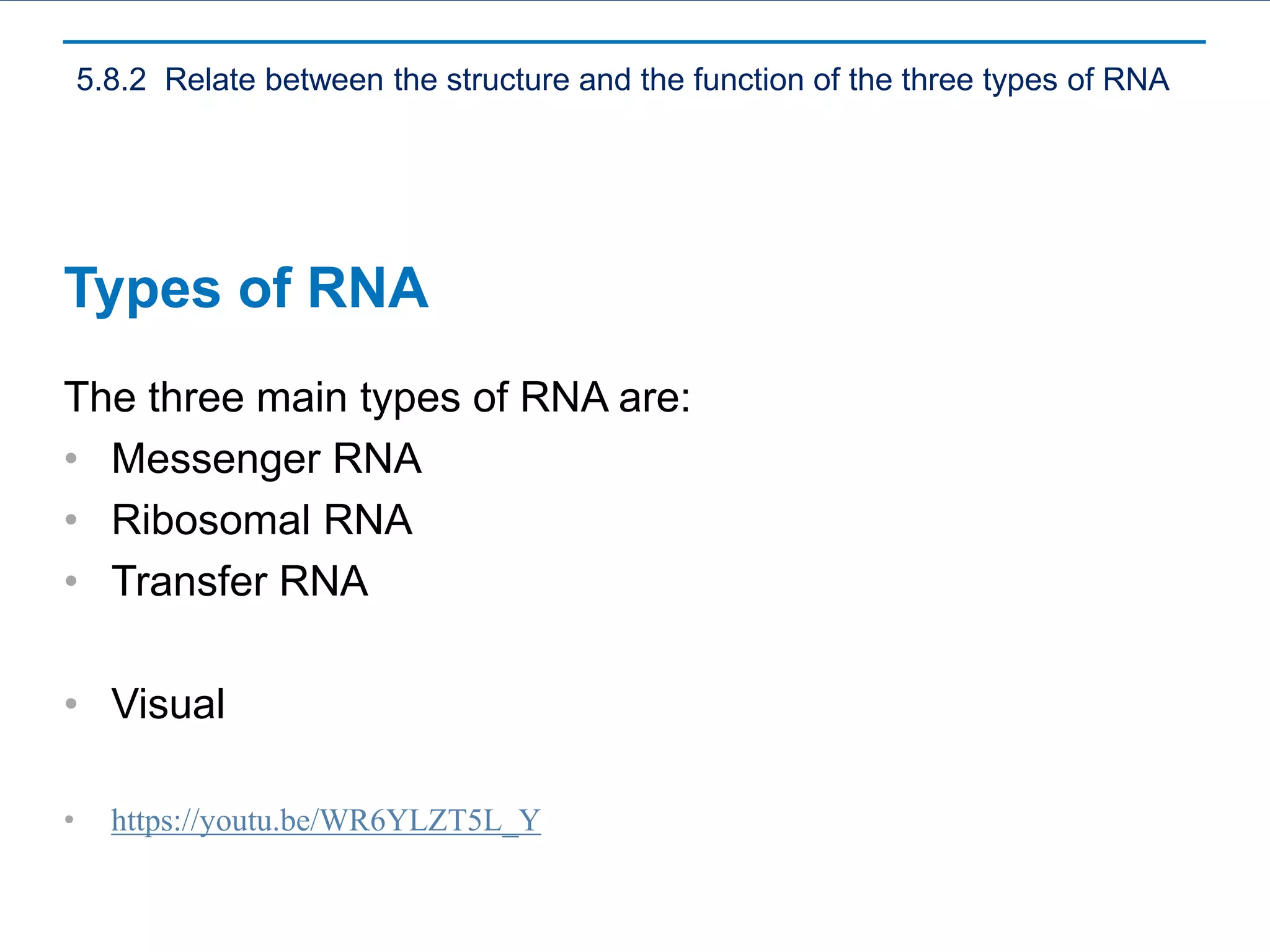 Week4-RNA and Protein Synthesis - Final Updated.pptx