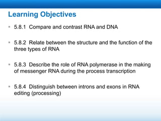 Week4-RNA and Protein Synthesis - Final Updated.pptx