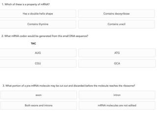 Week4-RNA and Protein Synthesis - Final Updated.pptx