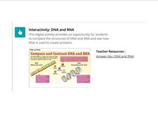 Week4-RNA and Protein Synthesis - Final Updated.pptx