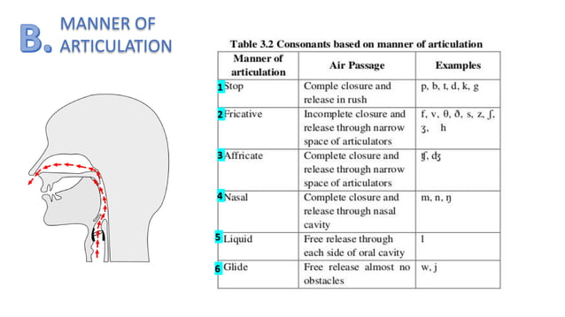 Vowels and consonants | PDF | Ear, Nose and Throat Conditions | Diseases and Conditions