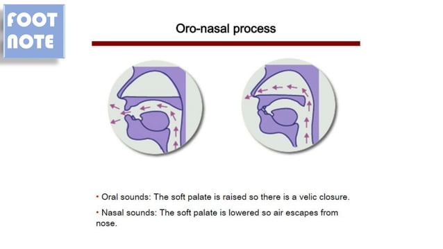 Vowels and consonants | PDF | Ear, Nose and Throat Conditions | Diseases and Conditions