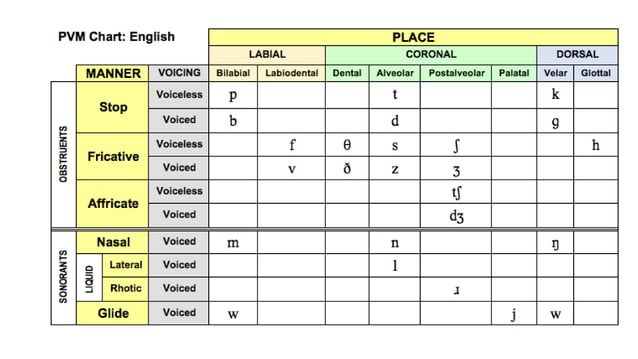 Vowels and consonants | PDF | Ear, Nose and Throat Conditions | Diseases and Conditions