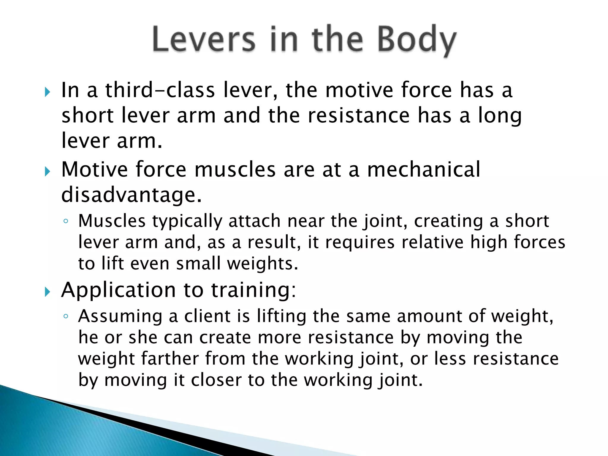 Week 4 defining muscular fitness | PPTX