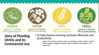 Week 4 Module-25-Benefits-of-Genetically-Modified-Organisms.pptx