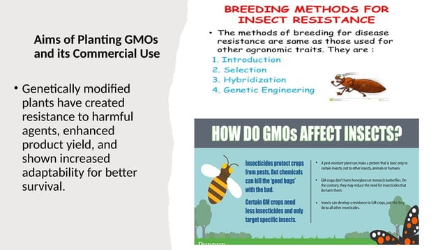 Week 4 Module-25-Benefits-of-Genetically-Modified-Organisms.pptx