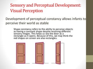 Week 4 Motor, Sensory, & Perceptual Development | PPTX