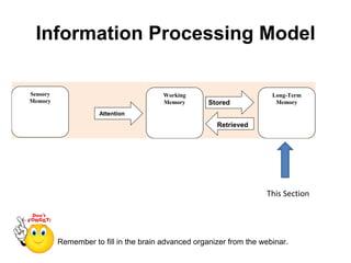 Week 4 power point | PPT