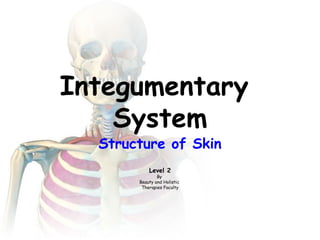 Week 4 structure of the skin btec | PPT