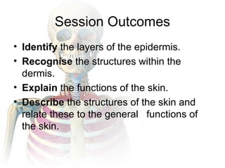 Week 4 structure of the skin btec | PPT