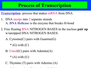 transcription and rna | PPT