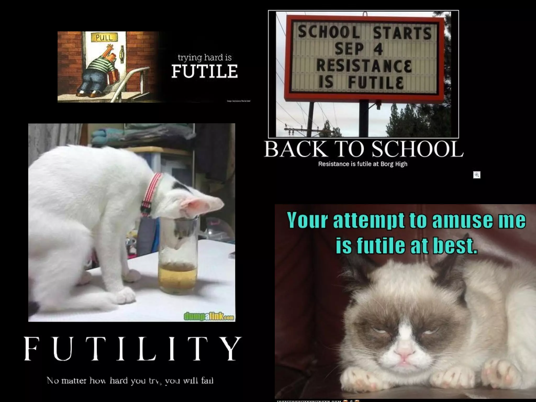 SAT Week 4 vocab visuals | PPT