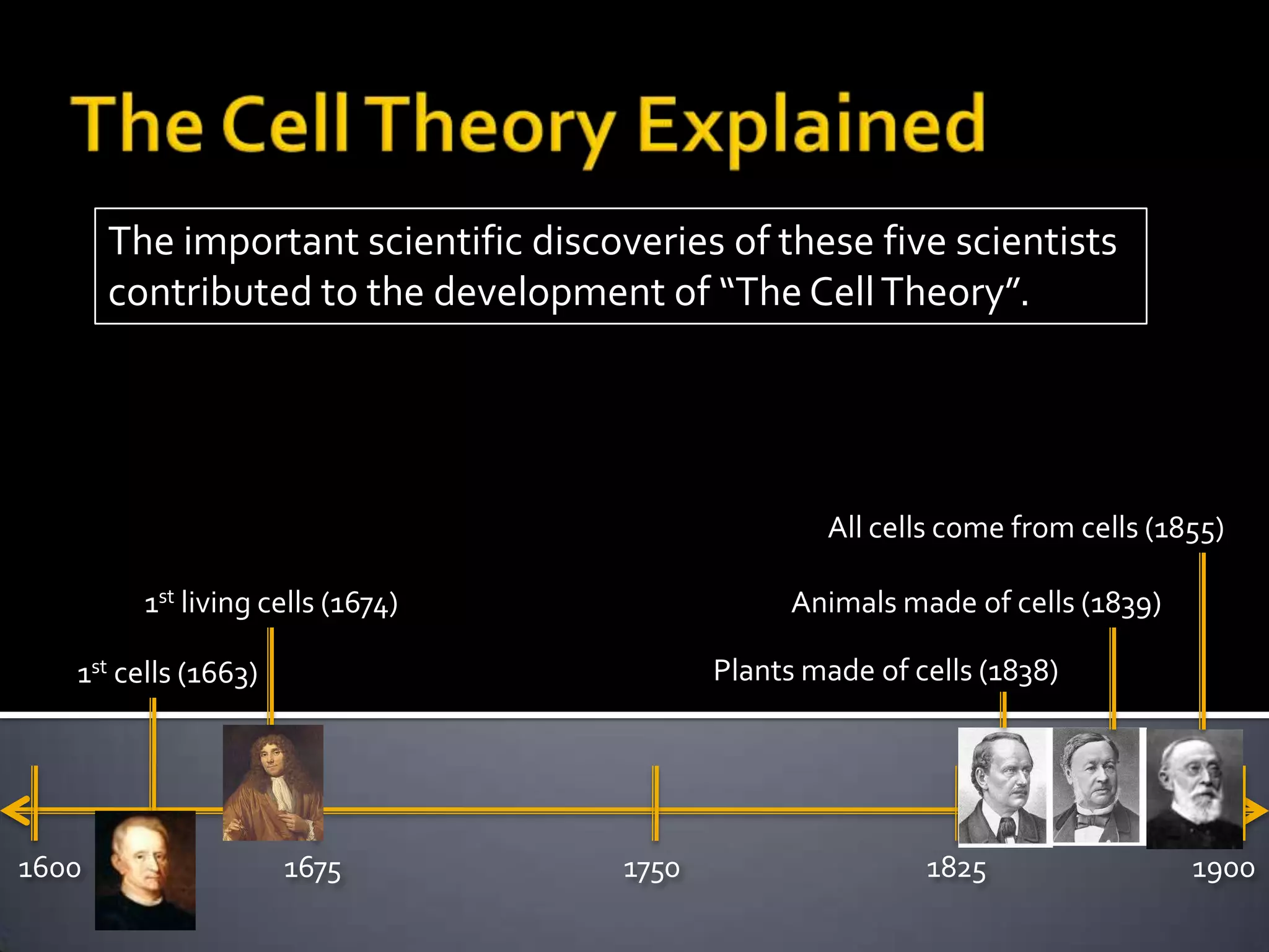 Cell Theory | PPTX | Biological Sciences | Science