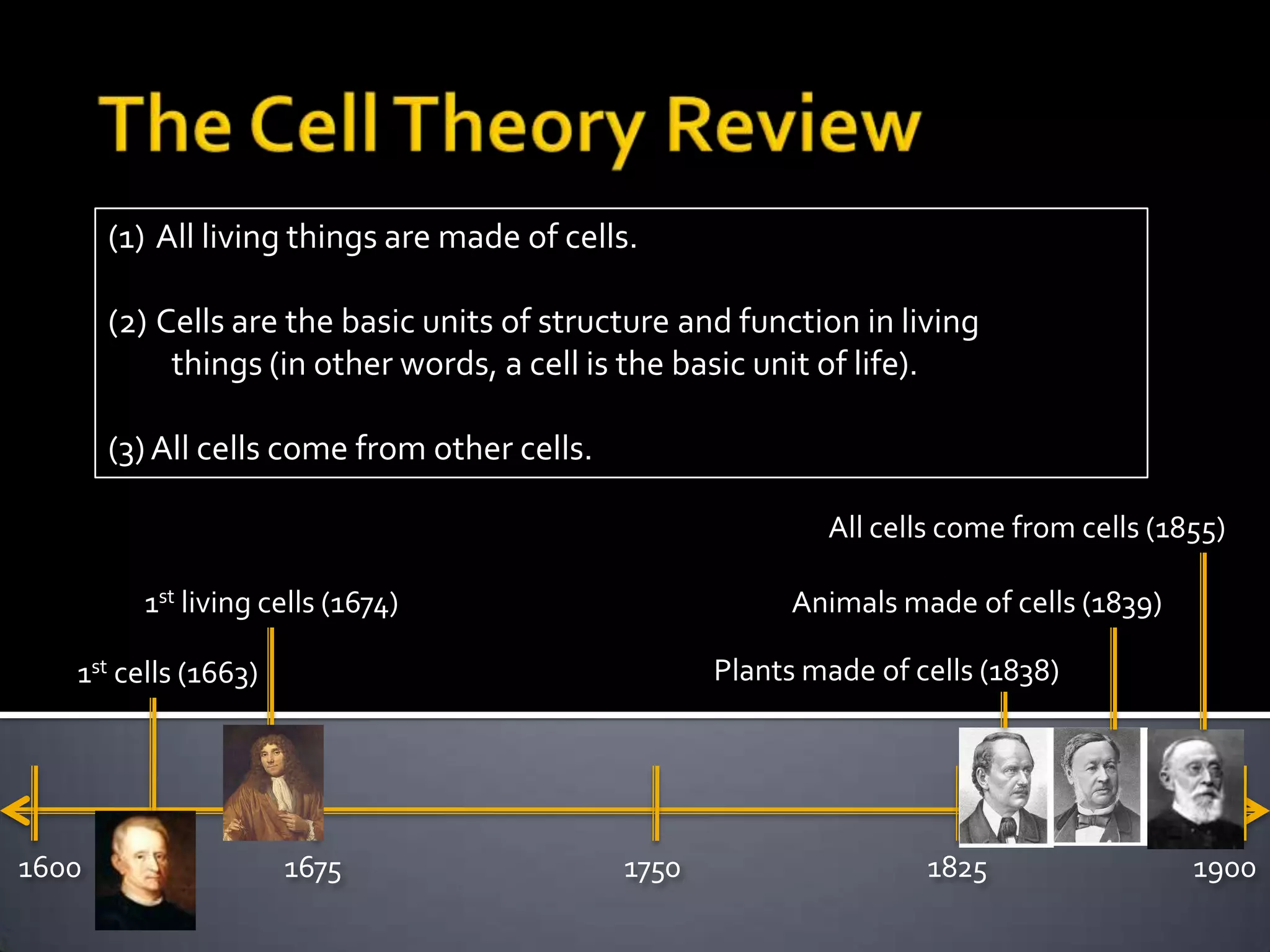 Cell Theory | PPTX
