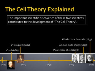 Cell Theory | PPTX | Biological Sciences | Science