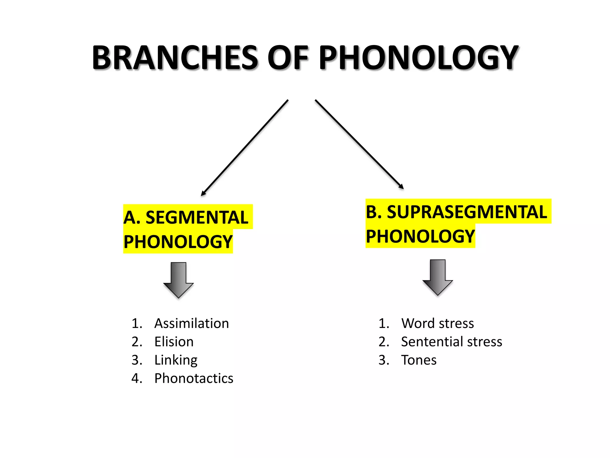 Phonology | PDF