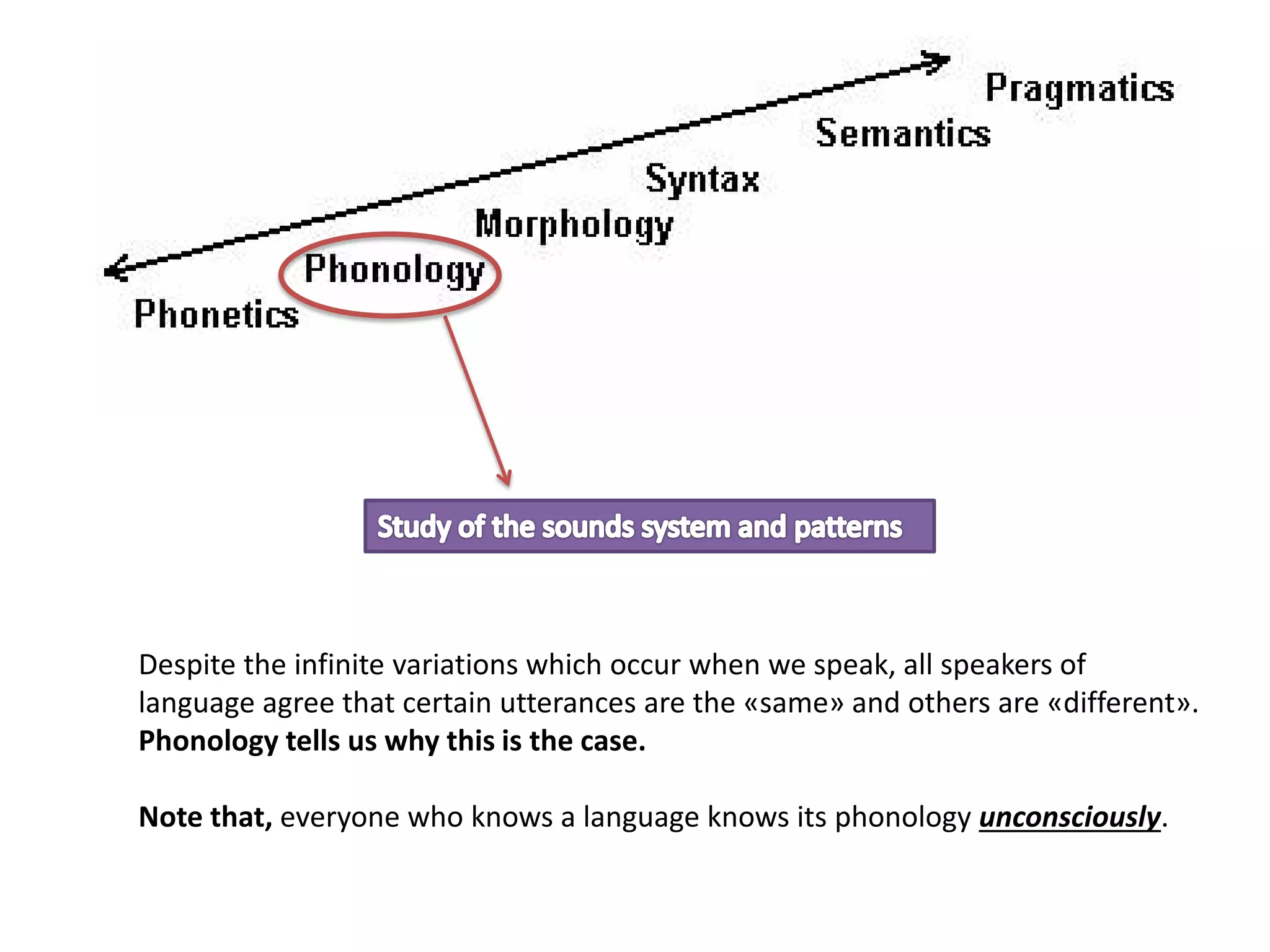 Phonology | PDF