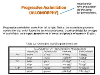 Phonology | PPT