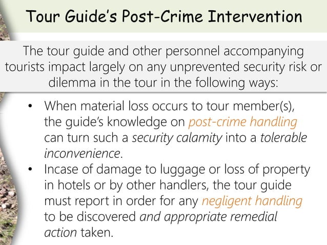 Tourist Security and the Role of the Tour Guide | PDF | Crime & Harmful ...