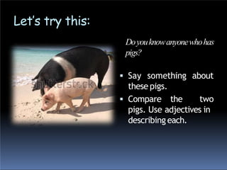 Week 5 adjectives | PPT